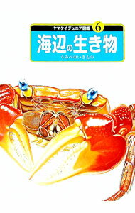 &nbsp;&nbsp;&nbsp; ヤマケイジュニア図鑑(6)−海辺の生き物− 単行本 の詳細 出版社: 山と渓谷社 レーベル: 作者: 企画室トリトン【編著】 カナ: ヤマケイジュニアズカン6ウミベノイキモノ / キカクシツトリトン サ...