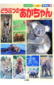 &nbsp;&nbsp;&nbsp; どうぶつのあかちゃん 単行本 の詳細 出版社: 小学館 レーベル: どうぶついっぱいずかん 作者: 成島悦雄【監修】 カナ: ドウブツノアカチャン / ナルシマエツオ サイズ: 単行本 ISBN: 40...