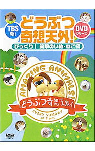 &nbsp;&nbsp;&nbsp; どうぶつ奇想天外！びっくり！笑撃のいぬ・ねこ編 の詳細 発売元: リバプール カナ: ドウブツキソウテンガイビックリショウゲキノイヌネコヘン / クボタトモコ ディスク枚数: 1枚 品番: LPTB10...