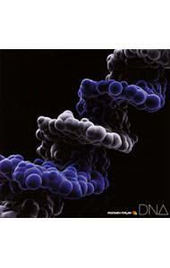 &nbsp;&nbsp;&nbsp; 【CD＋Blu−ray】DNA の詳細 カテゴリ: 中古CD ジャンル: ジャパニーズポップス 国内のアーティスト 発売元: エイベックス・マーケティング株式会社 アーティスト名: MONKEY　MAJ...