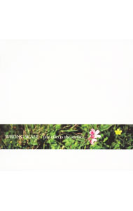 &nbsp;&nbsp;&nbsp; fate　effects　the　surface の詳細 カテゴリ: 中古CD ジャンル: ジャパニーズポップス 国内のアーティスト 発売元: K−PLAN アーティスト名: WRONG　SCALE カ...