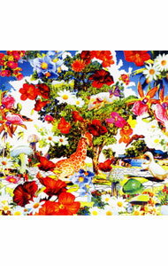 &nbsp;&nbsp;&nbsp; 【CD＋DVD】Wild　Flowers の詳細 カテゴリ: 中古CD ジャンル: ジャパニーズポップス 国内のアーティスト 発売元: BMG　JAPAN アーティスト名: orange　pekoe カ...