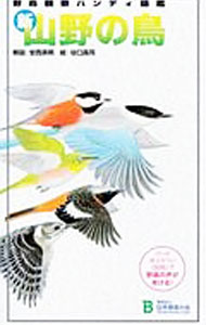 &nbsp;&nbsp;&nbsp; 新・山野の鳥 新書 の詳細 カテゴリ: 中古本 ジャンル: 産業・学術・歴史 動物 出版社: 日本野鳥の会 レーベル: 野鳥観察ハンディ図鑑 作者: 谷口高司 カナ: シンサンヤノトリ / タニグチタカ...