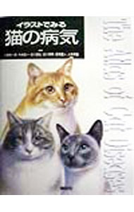 &nbsp;&nbsp;&nbsp; イラストでみる猫の病気 単行本 の詳細 カテゴリ: 中古本 ジャンル: 女性・生活・コンピュータ 猫の本 出版社: 講談社 レーベル: 作者: 小野憲一郎 カナ: イラストデミルネコノビョウキ / オノ...