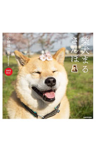 &nbsp;&nbsp;&nbsp; 【DVD付】柴犬まるさんぽ 単行本 の詳細 笑顔がチャームポイントの、少し大きめな柴犬・まるのフォトブック。撮り下ろしのさんぽ京都編など、まると一緒に笑顔になれる写真が満載。動くまるに会える60分のDV...