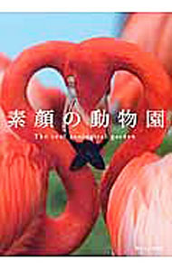 &nbsp;&nbsp;&nbsp; 素顔の動物園 単行本 の詳細 熊本地震で長期休園中の熊本市動植物園。地震直前、園内すべての動物たちの「素顔」に迫った『熊本日日新聞』の人気連載を書籍化。喜怒哀楽が伝わる生き生きとした表情、愉快なしぐさが...