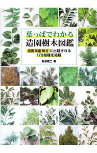 &nbsp;&nbsp;&nbsp; 葉っぱでわかる造園樹木図鑑 単行本 の詳細 造園技能検定の判断等試験（旧：要素試験）に出題される170樹種について、出題される状態に近い枝と葉の写真を中心にその特徴と判別のポイントを解説。さらに造園樹種...