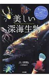 &nbsp;&nbsp;&nbsp; 美しい深海生物 単行本 の詳細 カテゴリ: 中古本 ジャンル: 産業・学術・歴史 生物学 出版社: あかね書房 レーベル: 作者: 藤原義弘／中野富美子 カナ: ウツクシイシンカイセイブツ / フジワラ...