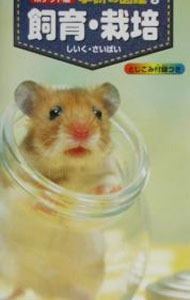 &nbsp;&nbsp;&nbsp; 飼育・栽培 単行本 の詳細 カテゴリ: 中古本 ジャンル: 産業・学術・歴史 生物学 出版社: 学習研究社 レーベル: 学研の図鑑 作者: 学研 カナ: シイクサイバイ / ガッケン サイズ: 単行本 ...