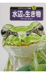 &nbsp;&nbsp;&nbsp; 水辺の生き物 単行本 の詳細 カテゴリ: 中古本 ジャンル: 産業・学術・歴史 動物 出版社: 山と渓谷社 レーベル: ヤマケイジュニア図鑑 作者: 山と溪谷社 カナ: ミズベノイキモノ / ヤマトケイ...