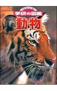 &nbsp;&nbsp;&nbsp; 動物 単行本 の詳細 カテゴリ: 中古本 ジャンル: 産業・学術・歴史 動物 出版社: 学習研究社 レーベル: ニューワイド学研の図鑑 作者: 学習研究社 カナ: ドウブツ / ガクシュウケンキュウシャ...