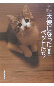 &nbsp;&nbsp;&nbsp; 天使になったペットたち　猫編 単行本 の詳細 カテゴリ: 中古本 ジャンル: 女性・生活・コンピュータ 犬の本 出版社: 大和書房 レーベル: 作者: 大和書房【編】 カナ: テンシニナッタペットタチネ...