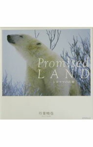 &nbsp;&nbsp;&nbsp; Promised　land 単行本 の詳細 カテゴリ: 中古本 ジャンル: 女性・生活・コンピュータ 芸術・美術 出版社: エクスナレッジ レーベル: 作者: 丹葉暁弥 カナ: プロミストランド / タ...