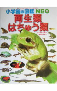 &nbsp;&nbsp;&nbsp; 【CD付】両生類・はちゅう類 単行本 の詳細 付属品：CD付 カテゴリ: 中古本 ジャンル: 産業・学術・歴史 動物 出版社: 小学館 レーベル: 小学館の図鑑NEO 作者: 松橋利光 カナ: リョウセ...