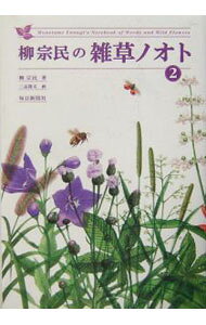 &nbsp;&nbsp;&nbsp; 柳宗民の雑草ノオト 2 単行本 の詳細 カテゴリ: 中古本 ジャンル: 産業・学術・歴史 植物 出版社: 毎日新聞社 レーベル: 作者: 柳宗民 カナ: ヤナギムネタミノザッソウノオト / ヤナギムネタ...