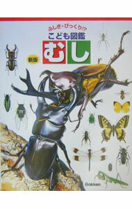 &nbsp;&nbsp;&nbsp; むし 単行本 の詳細 カテゴリ: 中古本 ジャンル: 産業・学術・歴史 動物 出版社: 学研 レーベル: ふしぎ・びっくり！？こども図鑑 作者: カナ: ムシ / サイズ: 単行本 ISBN: 4052...