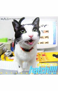 &nbsp;&nbsp;&nbsp; hatch！！！！ 4 単行本 の詳細 ニャンドルはっちゃん、絶好調！　くねくねと自由自在に変化する軟体はっちゃん。どうなってるのか理解不能な体勢に、親父くさいポーズの数々…。はっちゃんのへんなポーズを...