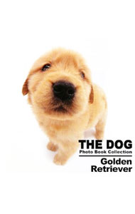&nbsp;&nbsp;&nbsp; THE　DOG　Photo　Book　Collection　Golden　Retriever 単行本 の詳細 仲良くしてやって！　魚眼レンズで撮ったユニークな表情、思わず抱きしめたくなるような愛らしいポ...
