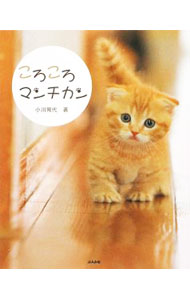&nbsp;&nbsp;&nbsp; ころころマンチカン 単行本 の詳細 カテゴリ: 中古本 ジャンル: 女性・生活・コンピュータ 猫の本 出版社: ぶんか社 レーベル: 作者: 小川晃代 カナ: コロコロマンチカン / オガワアキヨ サイ...
