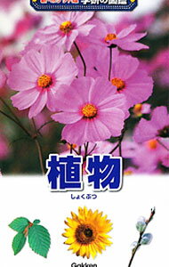 &nbsp;&nbsp;&nbsp; 植物　【増補改訂版】 単行本 の詳細 日本に自生している野外植物や花壇で栽培されている植物の主なものを取り上げ、花が咲く季節を目安に分けて解説。樹木や、シダ植物、コケ、海そう、作物、果物なども紹介する。...