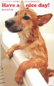 &nbsp;&nbsp;&nbsp; Have　a　nice　day！−フォトグラファーが大事にしている184のことば− 単行本 の詳細 カテゴリ: 中古本 ジャンル: 料理・趣味・児童 写真 出版社: 雷鳥社 レーベル: 作者: Bere...