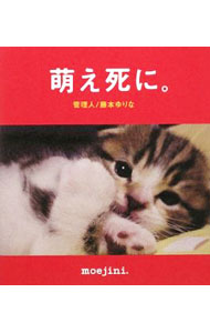 &nbsp;&nbsp;&nbsp; 【シール付】萌え死に。 単行本 の詳細 カテゴリ: 中古本 ジャンル: 料理・趣味・児童 写真 出版社: スターツ出版 レーベル: 作者: 藤本ゆりな カナ: モエジニ / フジモトユリナ サイズ: 単...