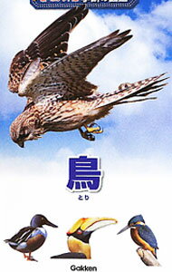 &nbsp;&nbsp;&nbsp; 鳥−新・ポケット版学研の図鑑5− 単行本 の詳細 日本の鳥から世界の鳥、飼い鳥まで約650種を網羅した、野外観察に最適なハンディ図鑑。写真とともに種名と科名、全長、分布、特ちょう・生態、鳴き声を記載。情...