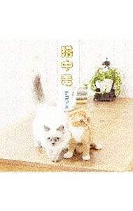 &nbsp;&nbsp;&nbsp; 猫中毒 の詳細 カテゴリ: 中古CD ジャンル: ジャパニーズポップス 国内のアーティスト 発売元: 株式会社ジャニーズ・エンタテイメント アーティスト名: テゴマス カナ: ネコチュウドク / テゴマ...