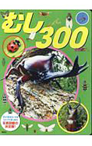 &nbsp;&nbsp;&nbsp; むし300 単行本 の詳細 カテゴリ: 中古本 ジャンル: 産業・学術・歴史 動物 出版社: 講談社 レーベル: 作者: 講談社 カナ: ムシサンビャク / コウダンシャ サイズ: 単行本 ISBN: ...