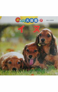 &nbsp;&nbsp;&nbsp; イヌ 単行本 の詳細 カテゴリ: 中古本 ジャンル: 女性・生活・コンピュータ 犬の本 出版社: ポプラ社 レーベル: 超はっけん大図鑑 作者: 中島真理 カナ: イヌ / ナカシママリ サイズ: 単行...