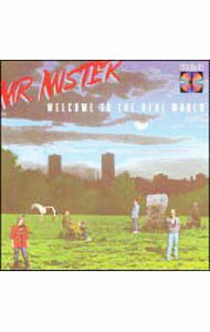 &nbsp;&nbsp;&nbsp; ウェルカム・トゥ・ザ・リアル・ワールド の詳細 カテゴリ: 中古CD ジャンル: 海外のロック＆ポップス 海外のアーティスト 発売元: BMG　JAPAN アーティスト名: MR．ミスター カナ: ウェ...