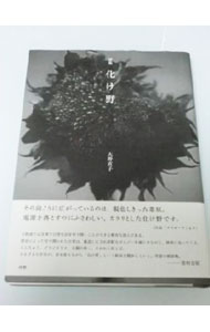 &nbsp;&nbsp;&nbsp; 化け野 単行本 の詳細 カテゴリ: 中古本 ジャンル: 文芸 小説一般 出版社: 澪漂 レーベル: 作者: 大野直子 カナ: バケノ / オオノナオコ サイズ: 単行本 ISBN: 9784860781...