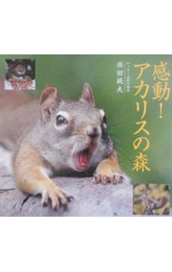 &nbsp;&nbsp;&nbsp; 感動！アカリスの森 単行本 の詳細 カテゴリ: 中古本 ジャンル: 産業・学術・歴史 動物 出版社: 芳賀書店 レーベル: 作者: 原田純夫 カナ: カンドウアカリスノモリ / ハラダスミオ サイズ: ...