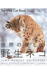 &nbsp;&nbsp;&nbsp; 世界の美しい野生ネコ 単行本 の詳細 世界のネコ科野生動物の進化、存続、保全状況について深く知ることができる入門書的写真集。ライオン、ベイキャット、チーター、イエネコなどを種の系統別にまとめ、分布図や豊...