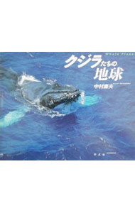 &nbsp;&nbsp;&nbsp; クジラたちの地球 単行本 の詳細 カテゴリ: 中古本 ジャンル: 産業・学術・歴史 動物 出版社: 平凡社 レーベル: 作者: 中村庸夫 カナ: クジラタチノチキュウ / ナカムラツネオ サイズ: 単行...