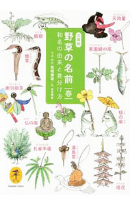 &nbsp;&nbsp;&nbsp; 野草の名前 春 文庫 の詳細 春の植物の名前の由来と見分け方のポイントをイラストと写真、読んで楽しい平易な文章で紹介した50音順の図鑑。植物の生い立ちや素顔を知ることで、名前覚えや街歩き、野山散策が楽し...