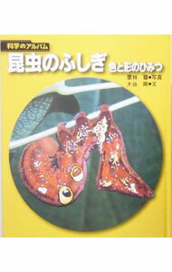 &nbsp;&nbsp;&nbsp; 昆虫のふしぎ　色と形のひみつ　【新装版】 単行本 の詳細 カテゴリ: 中古本 ジャンル: 産業・学術・歴史 生物学 出版社: あかね書房 レーベル: 作者: 栗林慧 カナ: コンチュウノフシギイロトカタ...
