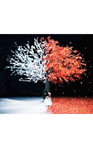 &nbsp;&nbsp;&nbsp; 茜さす／everlasting　snow の詳細 カテゴリ: 中古CD ジャンル: ジャパニーズポップス 国内のアーティスト 発売元: 株式会社ソニー・ミュージックレーベルズ　エスエムイーレコーズ アー...