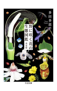 &nbsp;&nbsp;&nbsp; 野に咲く花の生態図鑑 春夏篇 文庫 の詳細 虫を騙して命も奪うムサシアブミの花、キノコに養われる純白のギンリョウソウ…。野に咲く花たちの生存戦略と虫や鳥たちとの共生関係のふしぎを、植物生態学者がやさしく...