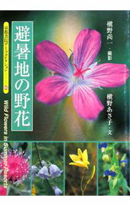 &nbsp;&nbsp;&nbsp; "避暑地の花 " の詳細 出版社: 京都書院 レーベル: 京都書院アーツコレクション 作者: 槙野尚一 カナ: ヒショチノハナ / マキノショウイチ サイズ: 文庫 関連商品リンク : 槙野尚一 京都書...