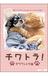 &nbsp;&nbsp;&nbsp; チワトラ！チワワとトラ猫　凛（リン）と正宗にぃちゃんのビューティフォーな毎日！ の詳細 発売元: シンフォレスト カナ: チワトラチワワトトラネコリンチャントマサムネニィチャンノビューティフォーナマイニ...