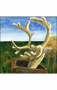 &nbsp;&nbsp;&nbsp; changes　here の詳細 カテゴリ: 中古CD ジャンル: ジャパニーズポップス 国内のアーティスト 発売元: JUNGLE　GYM アーティスト名: fam カナ: チェンジズヒア CHANG...