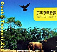 &nbsp;&nbsp;&nbsp; 天王寺動物園 単行本 の詳細 日本で3番目に古い動物園、大阪の天王寺動物園で飼育されている動物たちをオールカラーで紹介する写真集。それぞれの動物の写真に、園長による簡潔な解説を添える。巻末に動物園および...
