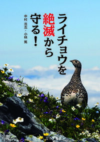 &nbsp;&nbsp;&nbsp; ライチョウを絶滅から守る！ の詳細 出版社: しなのき書房 レーベル: 作者: 中村浩志 カナ: ライチョウオゼツメツカラマモル / ナカムラヒロシ サイズ: 単行本 関連商品リンク : 中村浩志 しな...