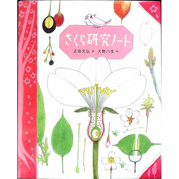 &nbsp;&nbsp;&nbsp; さくら研究ノート 単行本 の詳細 日本でいちばん植えられているさくら、ソメイヨシノについてイラストでわかりやすく解説。桜の木の1年を追って、桜の花、芽、葉や実の秘密、冬の間の木のようすなどを紹介する。 ...