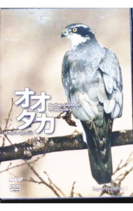 &nbsp;&nbsp;&nbsp; オオタカ　Northern　Goshawk　in　Hokkaido の詳細 発売元: エデュエンス・フィールド・プロダクション カナ: オオタカノースサーンゴスホックインホッカイドウ / ソノタ ディス...