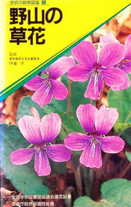&nbsp;&nbsp;&nbsp; 学研の観察図鑑(5)−野山の草花− 単行本 の詳細 カテゴリ: 中古本 ジャンル: 産業・学術・歴史 植物 出版社: 学習研究社 レーベル: 作者: 伊藤洋【監修】 カナ: ガッケンノカンサツズカン5ノ...