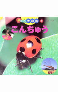 &nbsp;&nbsp;&nbsp; こんちゅう 単行本 の詳細 カテゴリ: 中古本 ジャンル: 産業・学術・歴史 動物 出版社: ポプラ社 レーベル: 超はっけん大図鑑 作者: 海野和男 カナ: コンチュウ / ウンノカズオ サイズ: 単...