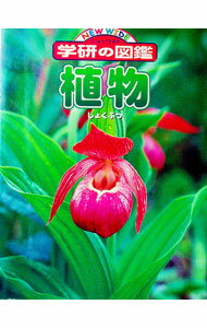 &nbsp;&nbsp;&nbsp; 植物 単行本 の詳細 カテゴリ: 中古本 ジャンル: 産業・学術・歴史 生物学 出版社: 学習研究社 レーベル: ニューワイド学研の図鑑 作者: 学習研究社 カナ: ショクブツ / ガクシュウケンキュウ...