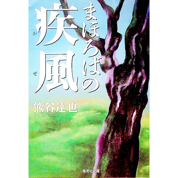&nbsp;&nbsp;&nbsp; まほろばの疾風（かぜ） 文庫 の詳細 カテゴリ: 中古本 ジャンル: 文芸 小説一般 出版社: 集英社 レーベル: 集英社文庫 作者: 熊谷達也 カナ: マホロバノカゼ / クマガイタツヤ サイズ: 文...